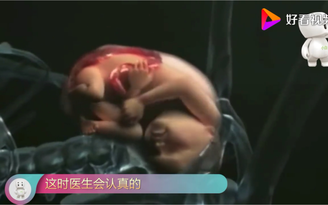 女子生孩子的过程到底有多么恐怖,3d模拟看完全过程
