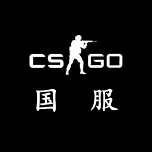 CSGO国服游戏周边 