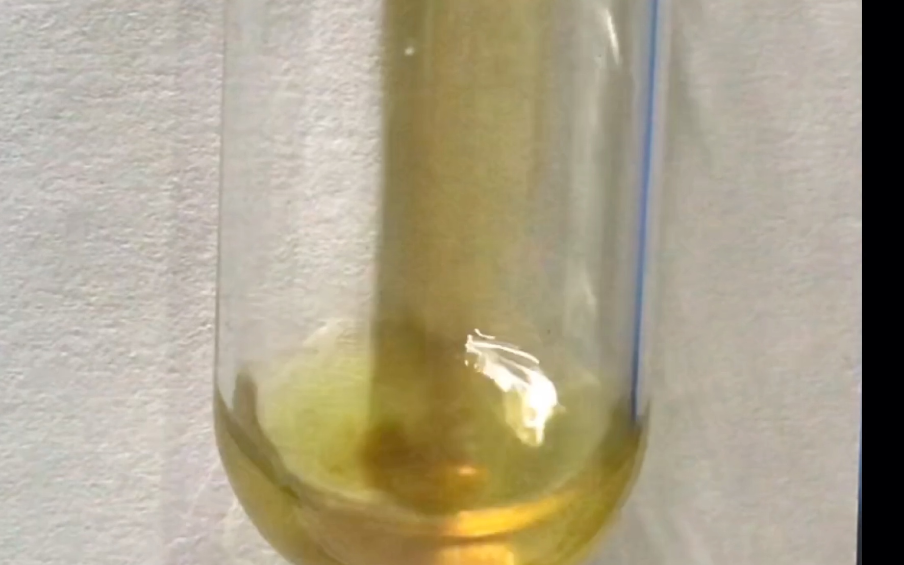 硫化铜(CuS)的制取及部分性质