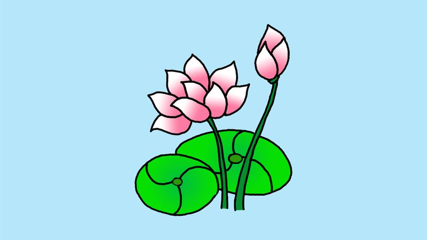 荷花简笔画教程,轻松变身绘画达人