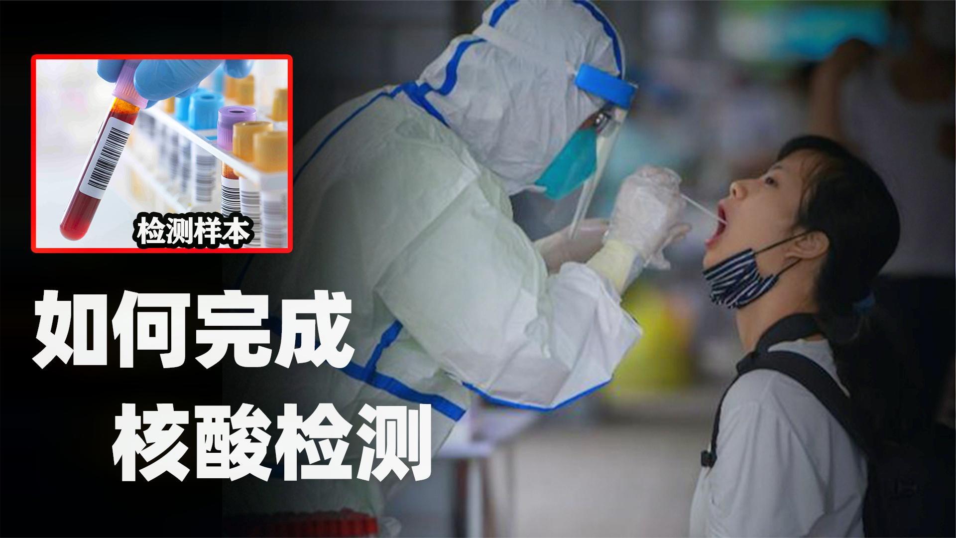 核酸检测是怎么样的一个流程?