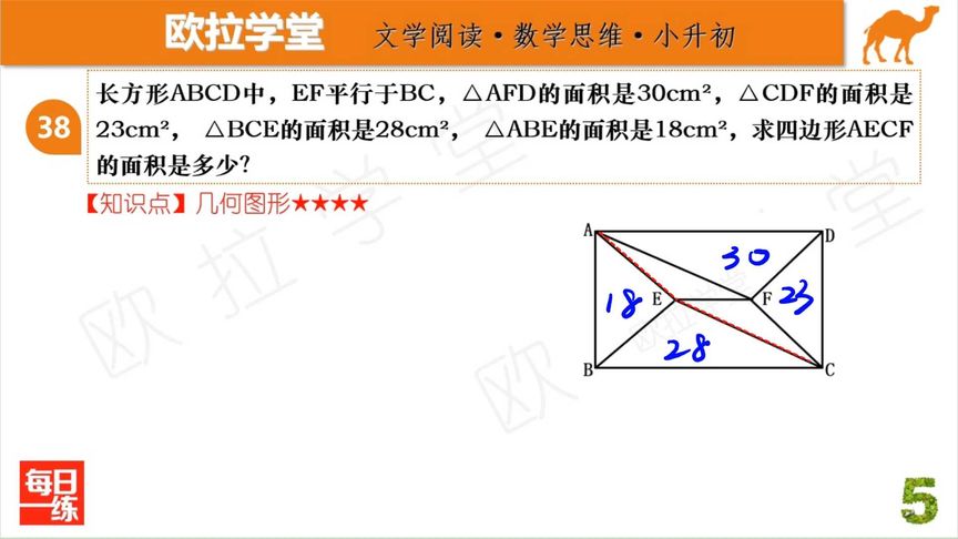 5下P38(知识点:几何图形)等积变形,平行线下隐藏着等高三角形
