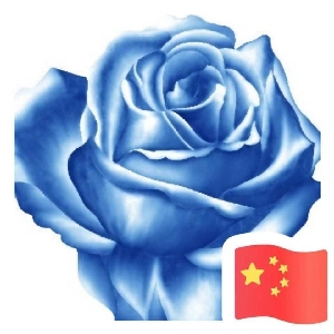 瑜树湾 