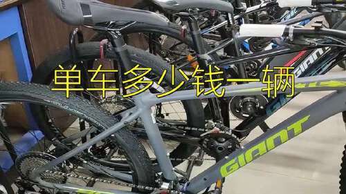 揭秘单车价格:从几百到上万,你的预算能买哪一款?