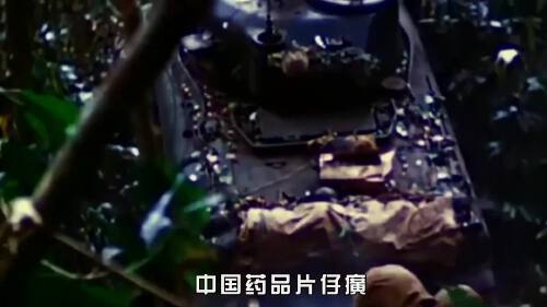 揭秘片仔癀的前世今生!价格堪比黄金的片仔癀,到底有何用处?