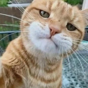 上大学跟坐大牢一样 