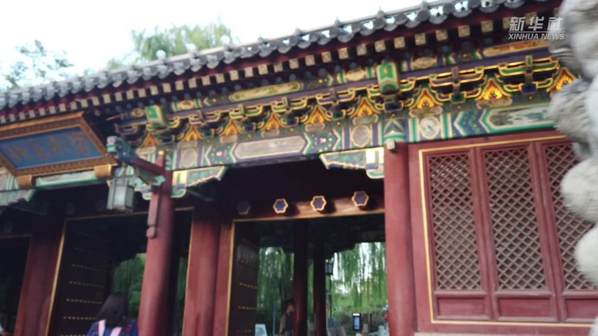 千方百计帮助高校毕业生就业——上半年重点群体就业形势观察