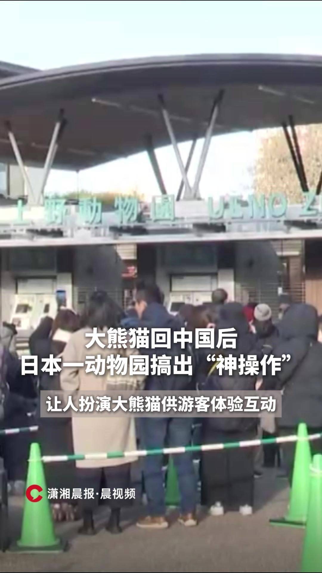 大熊猫回中国后,日本一动物园“神操作”:让人扮演大熊猫供游客体验...