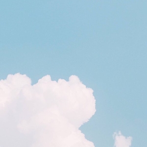 一枚郁闷的枸杞 