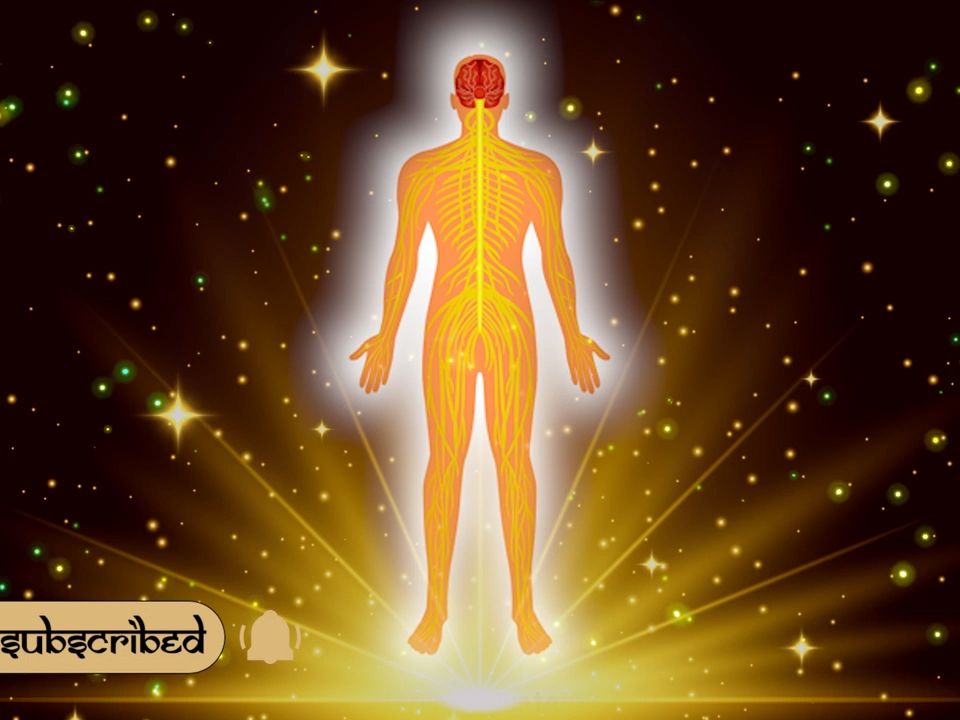 副交感神经系统 音乐疗愈