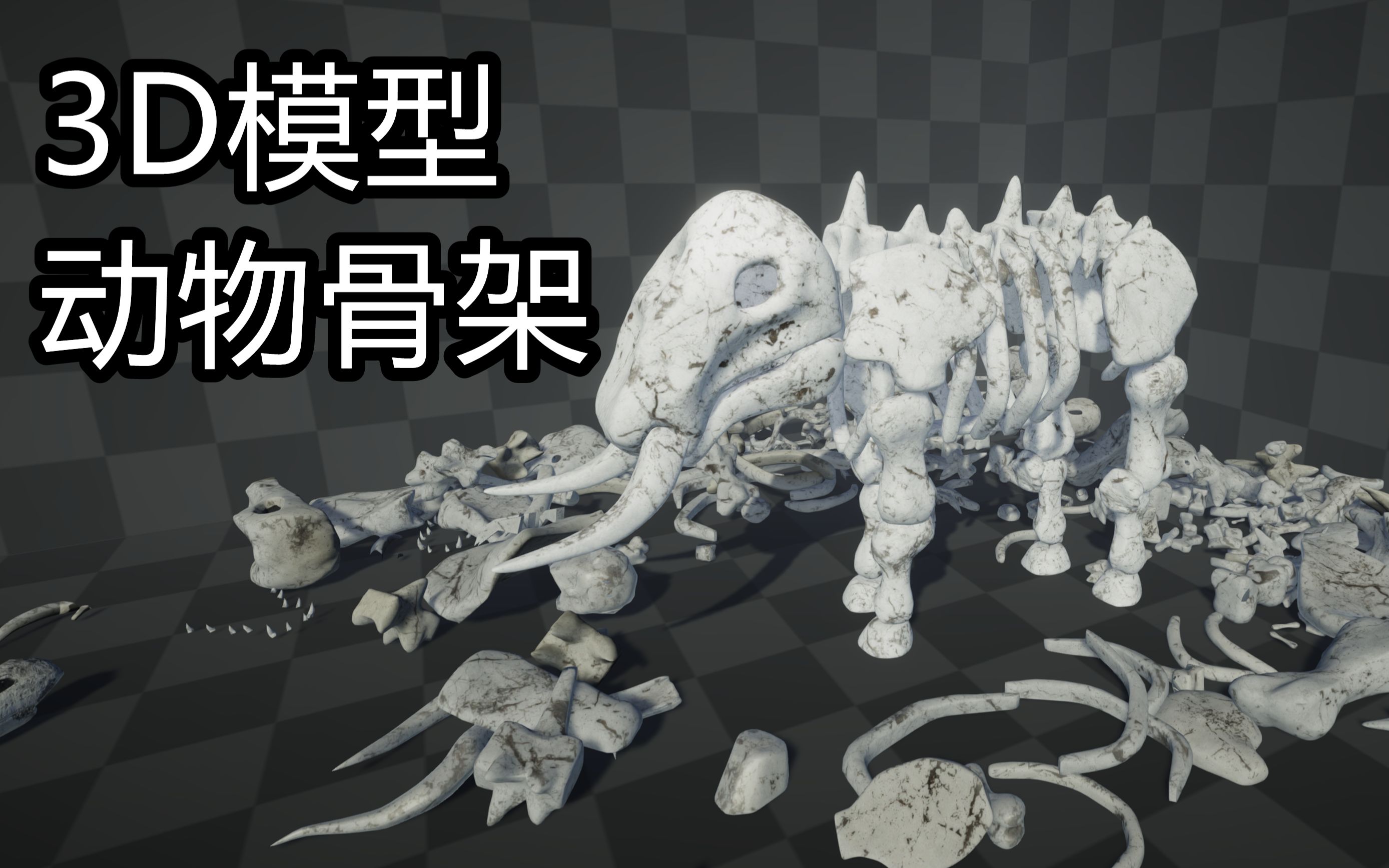 3D模型 - 13个动物骨架 - 附原文件获取地址