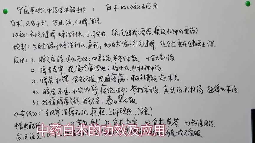 中药白术的功效及应用
