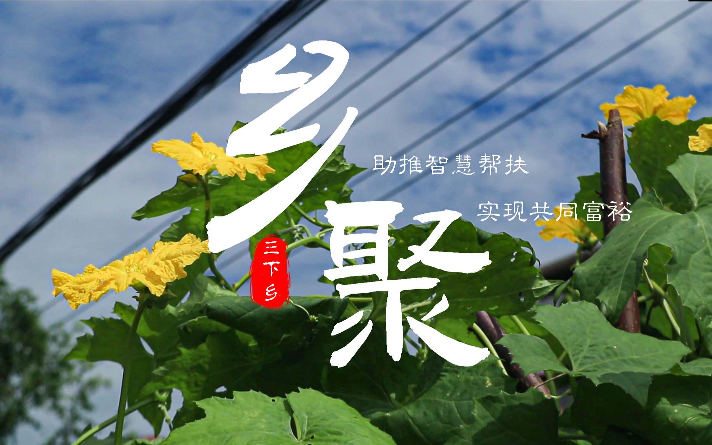 【三下乡】《乡聚——助推智慧帮扶,实现共同富裕》|暑期三下乡|社会...