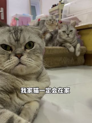 还好有台可移动的洗衣机不然咱这床垫沙发可就废了用了就离不开的...