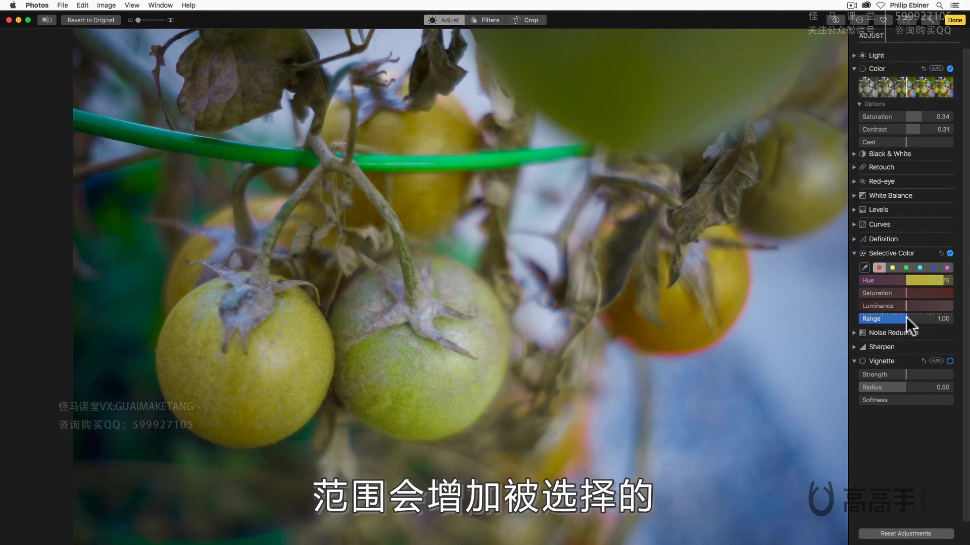 美国VSO摄影大师后期篇