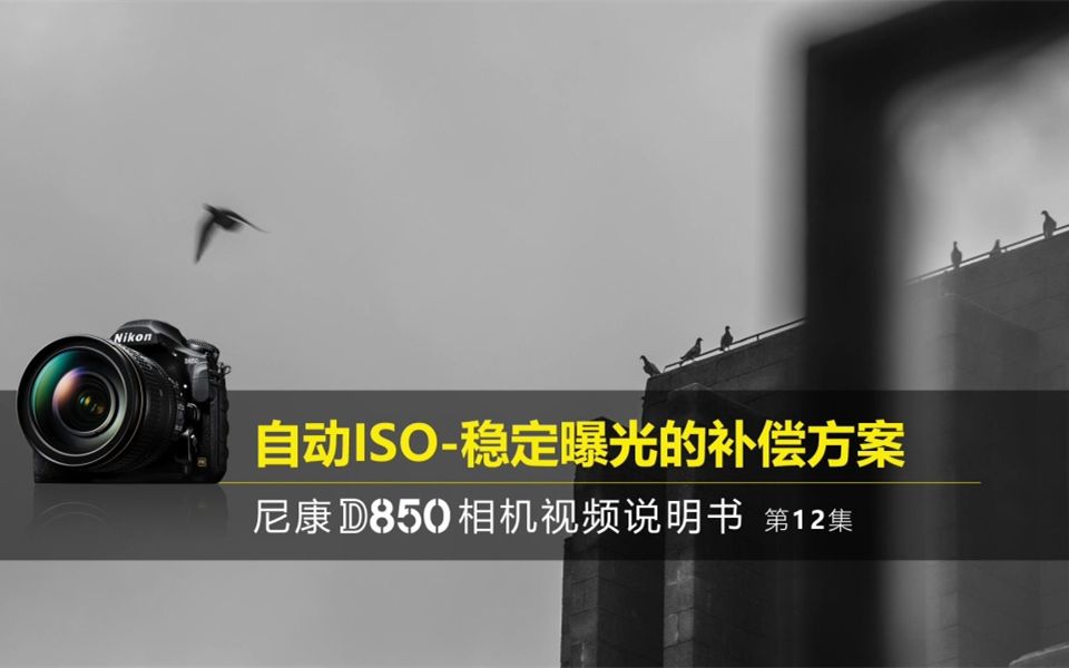 尼康D850第12集-自动ISO