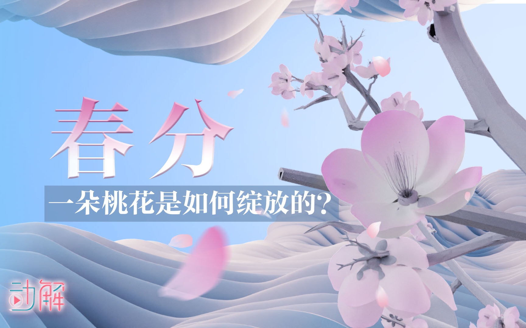 一朵桃花,如何在春分绽放?|万物生长
