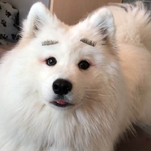 快点让我康康啊 