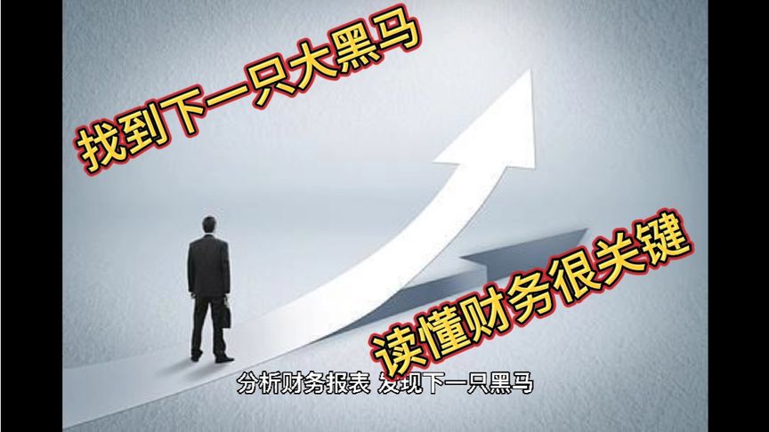 想要发现下一只大黑马,就要学会分析财务报表,避免选错股票踩雷