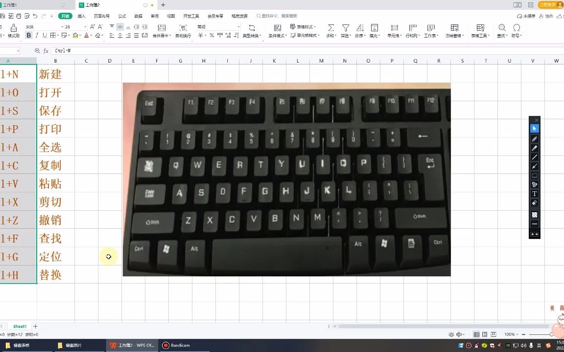 电脑入门常识 ,WPS文档编辑,Word/Excel/ppt/文员必备办公软件
