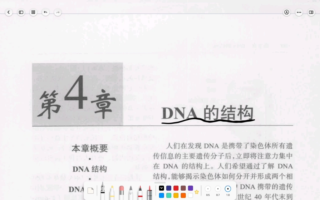 DNA的结构是什么样的?