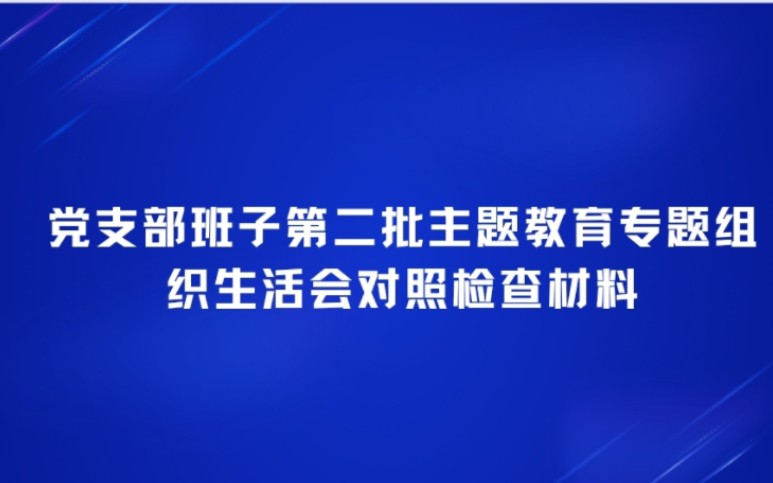 【写作材料】党支部班子第二批主题教育专题组织生活会对照检查材料