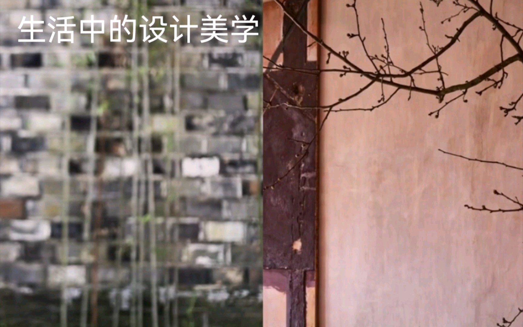 生活中的设计美学:美无处不在