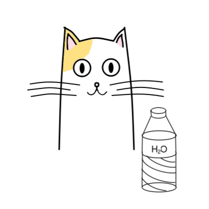 爱喝水的花猫 