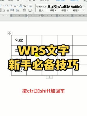 ...技巧 #文员 #wps表格技巧 #word文档 #wps文字 #文员零基础入门教程