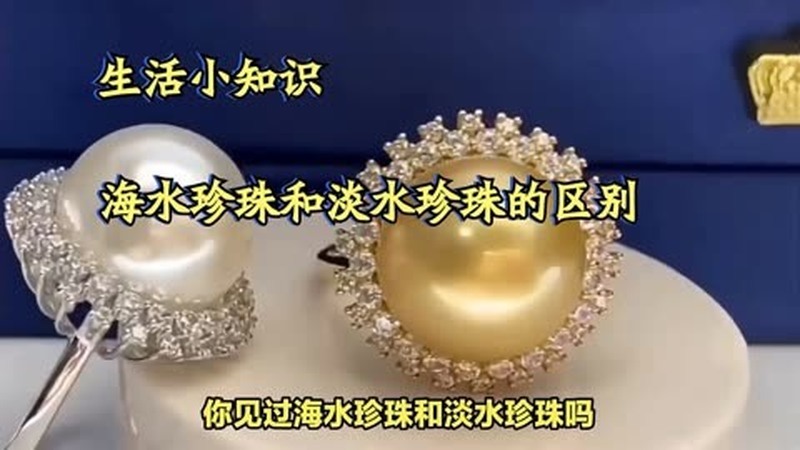 海水珍珠和淡水珍珠的区别,珍珠界的两大宝藏,它们有何不同