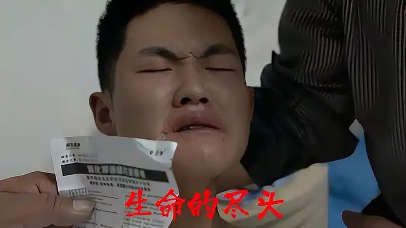 或许只有在生命进入倒进时之后,才更懂得生命的可贵