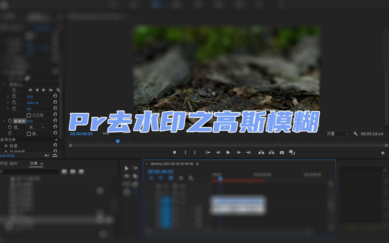 Pr去水印之高斯模糊