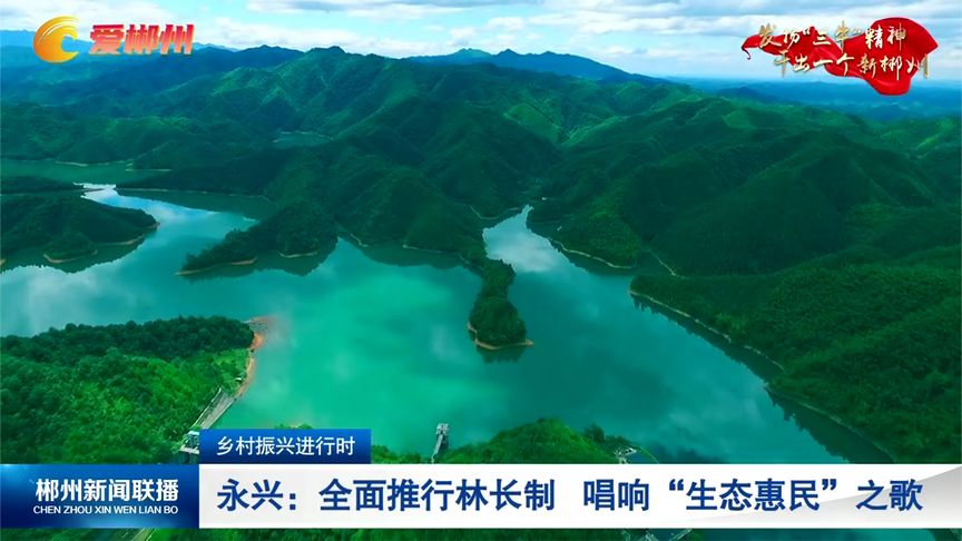 永兴:全面推行林长制 唱响“生态惠民”之歌
