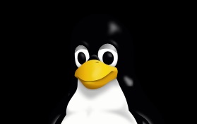 当你学会编译linux内核是什么感觉