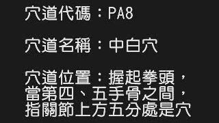 董氏穴位:中白穴