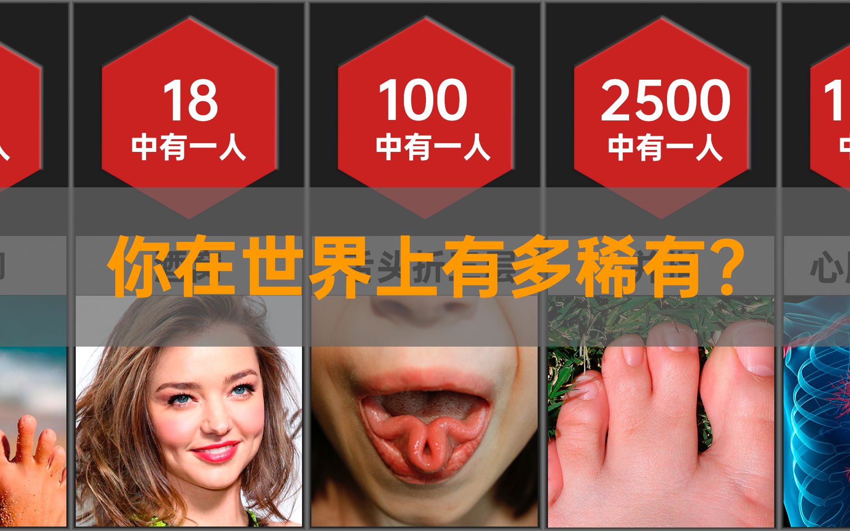 对比数据:人类稀有的特征|少数人能够做到的事情