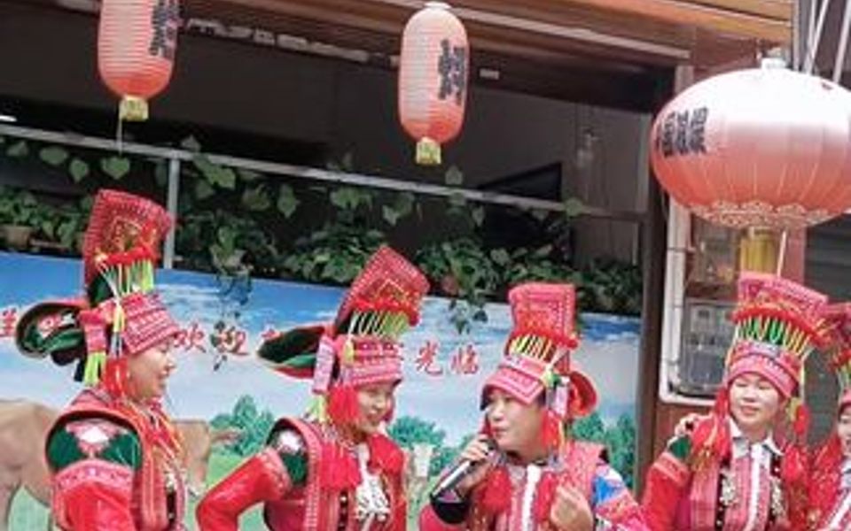 彝族歌曲,不要怕
