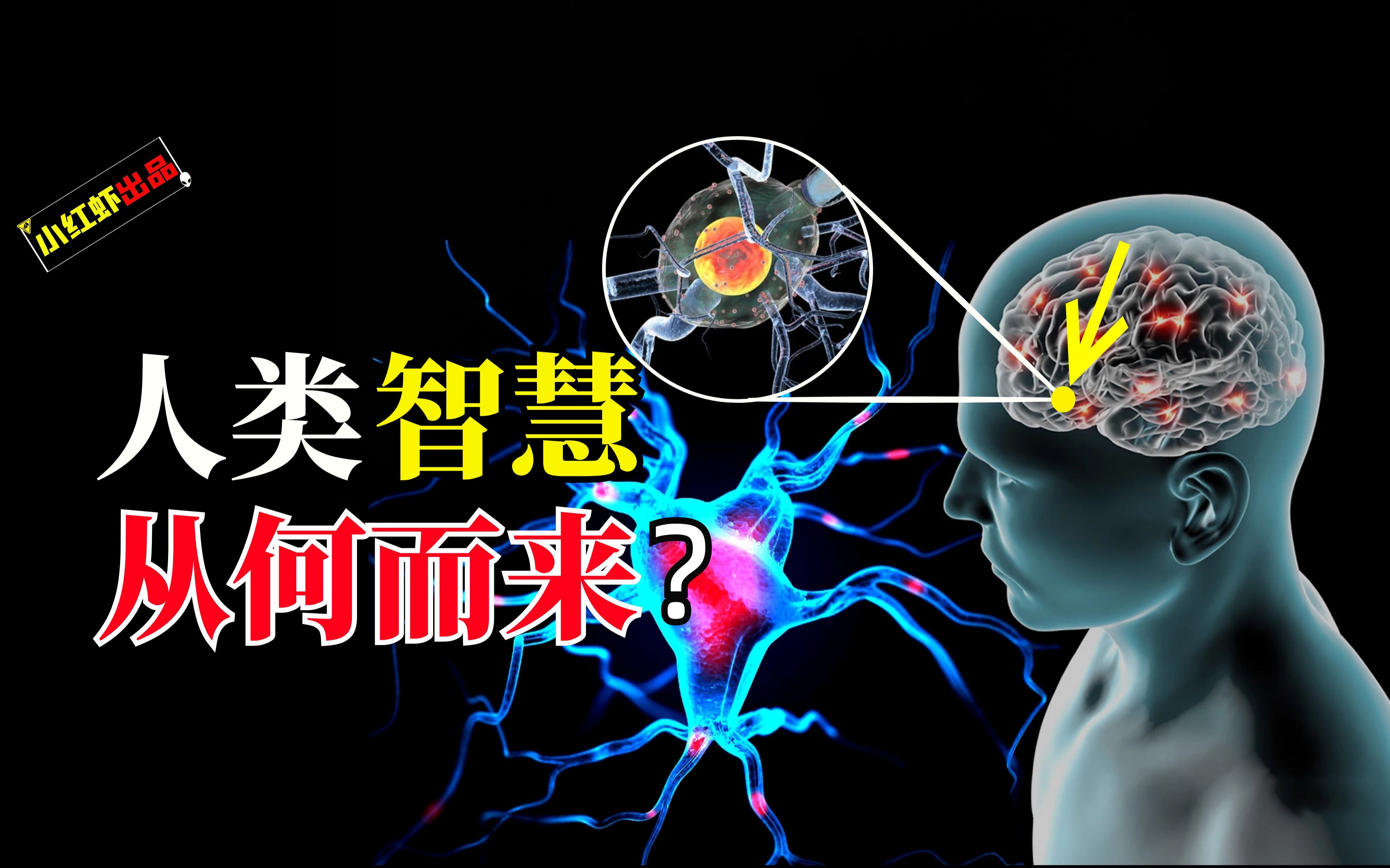 人类智慧从何而来?科学家的新研究发现:揭示人类文明诞生的真相