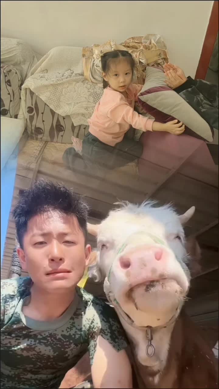 #撇点的写法及运笔技巧 #撇点的写法及运笔技巧 #书法教学指导 #硬笔...