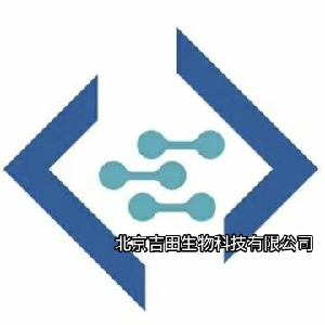 吉田bio 