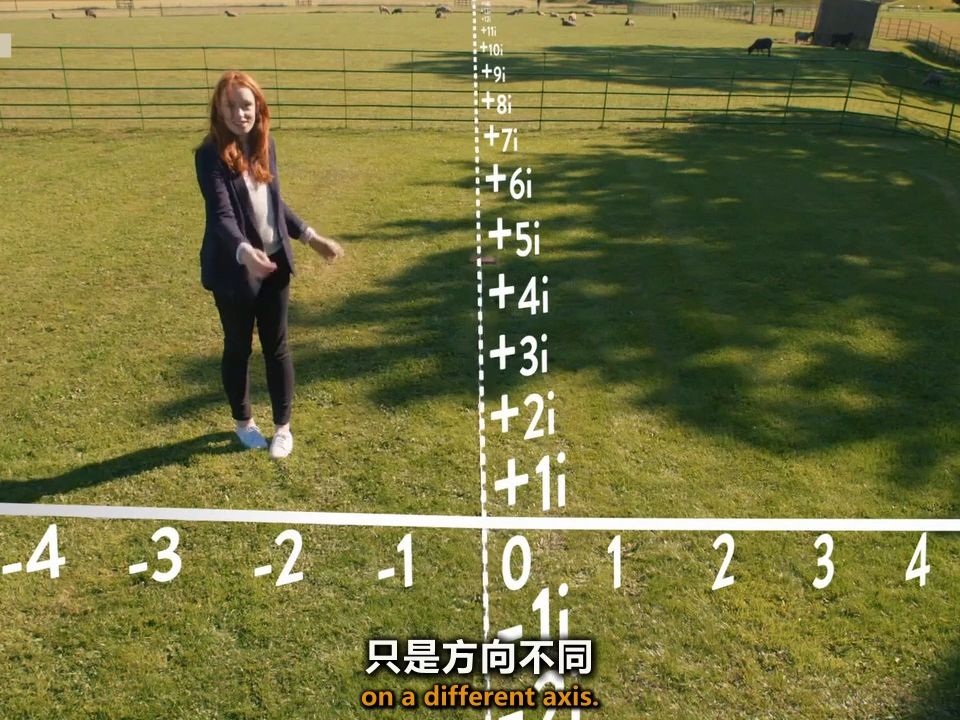 人类用智慧创造了虚数,实数和虚数将数字变为二维存在!