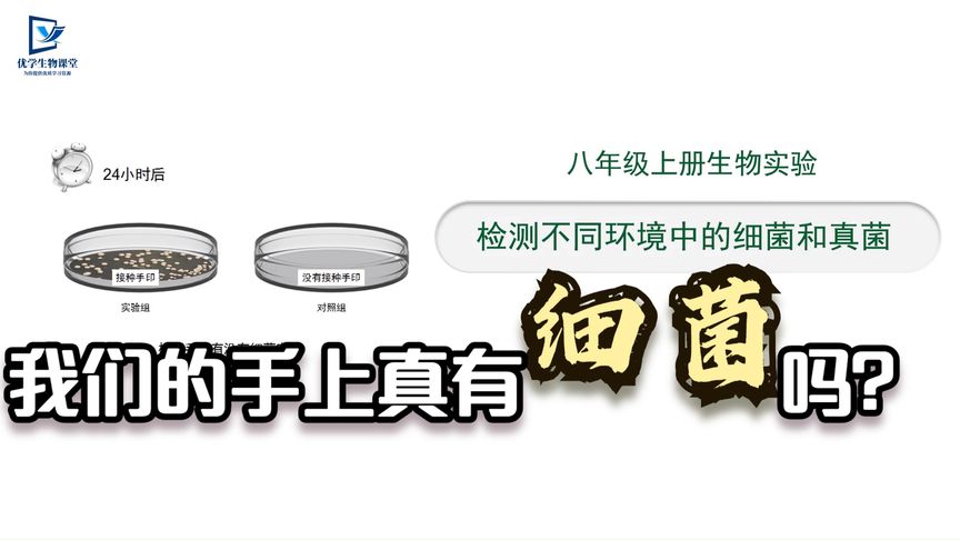 检测我们的手上有没有细菌?自然界哪有细菌和真菌?实验为你解释