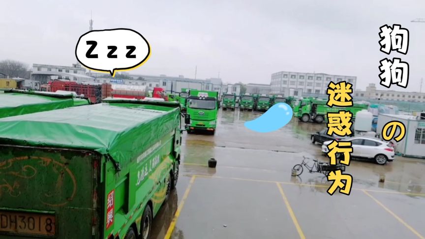 不知怎么办,宿舍外的绿皮车它晚上工作,已经四个晚上沒有睡好觉