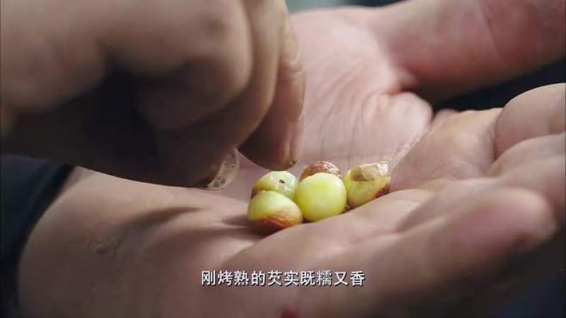 芡实的果子如何吃,几十年养殖户教学,简直太奇葩!丨老广的味道