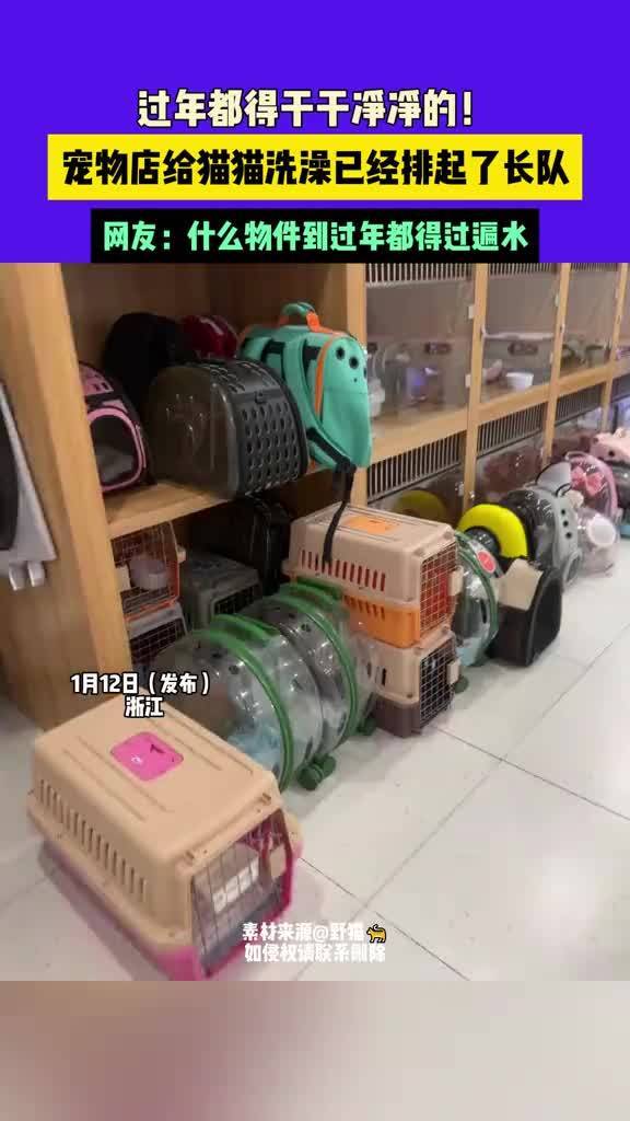 过年都得干干净净的!宠物店给猫猫洗澡已经排起了长队