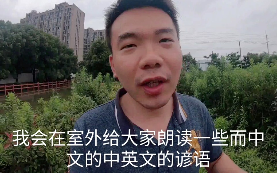 中英文互译日常练习,如何将大白话或者文言文翻译成英文!