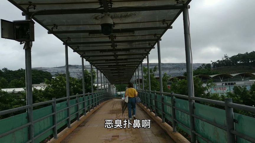 广州番禺,曾经恶臭扑鼻的垃圾山,如今换新颜大变样了