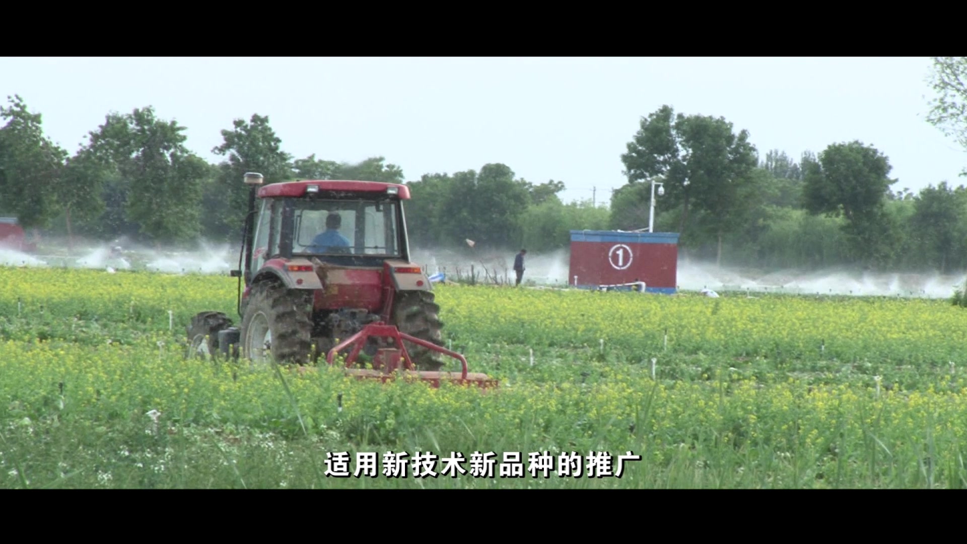 (专题片)庙台乡乡村振兴专题片