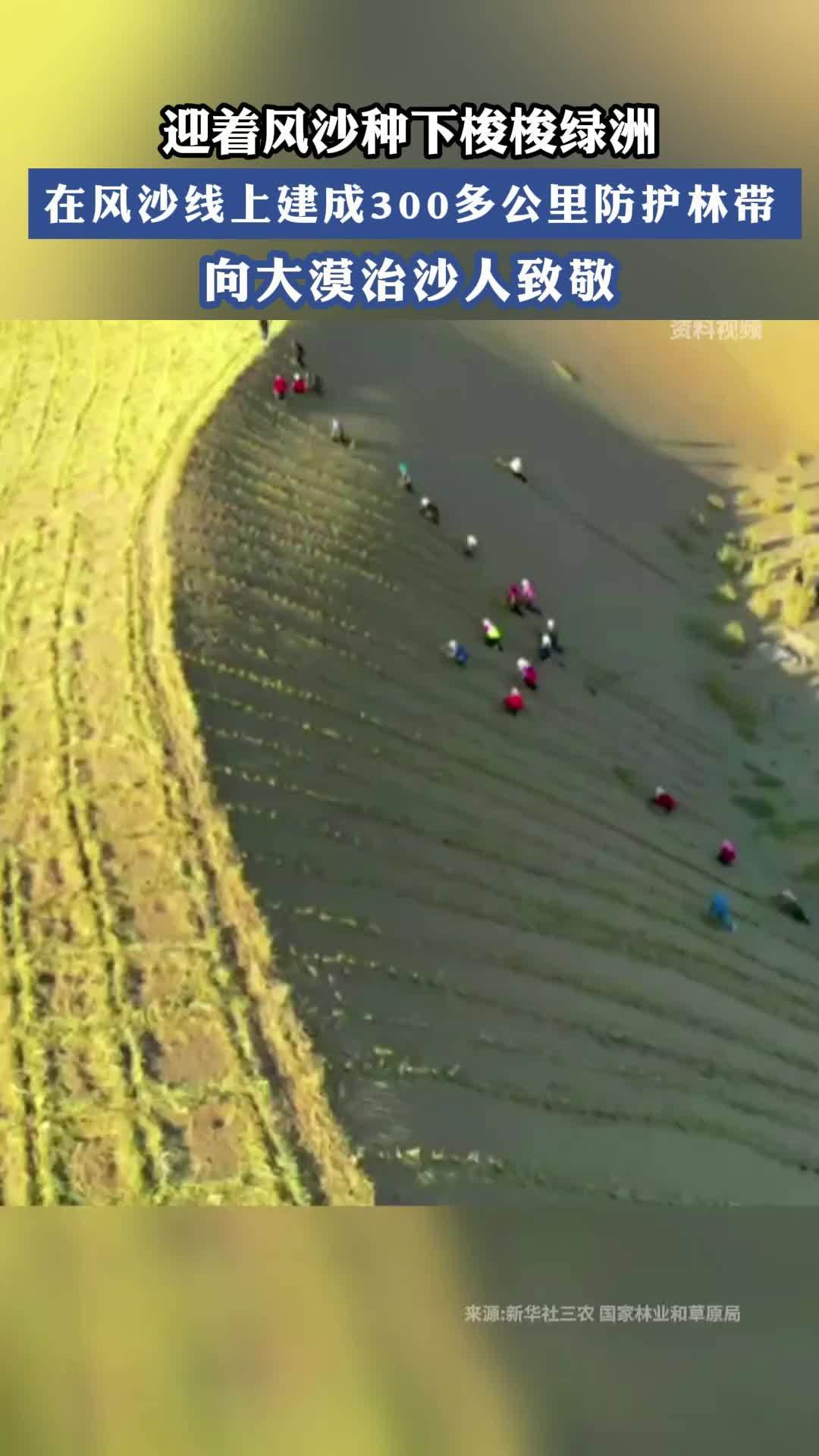 向大漠治沙人致敬!迎着风沙种下梭梭绿洲