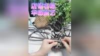 晴晴妈 三角形包包8*8教程(27号藤) 藤条编织diy